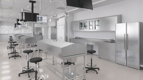 modelo 3d Clase de disección de anatomía humana - TurboSquid 2013165