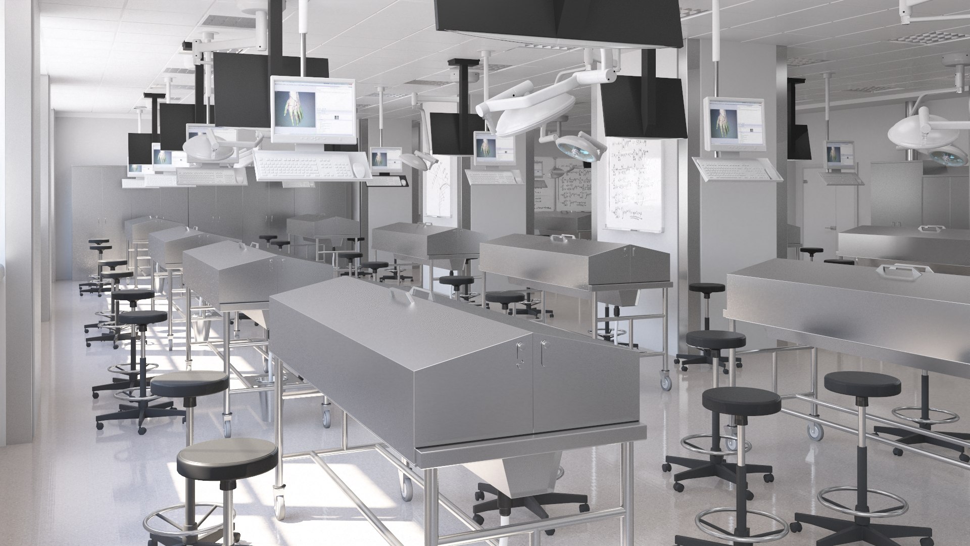 Human Anatomy Dissection Class 3D Model - TurboSquid 2013165