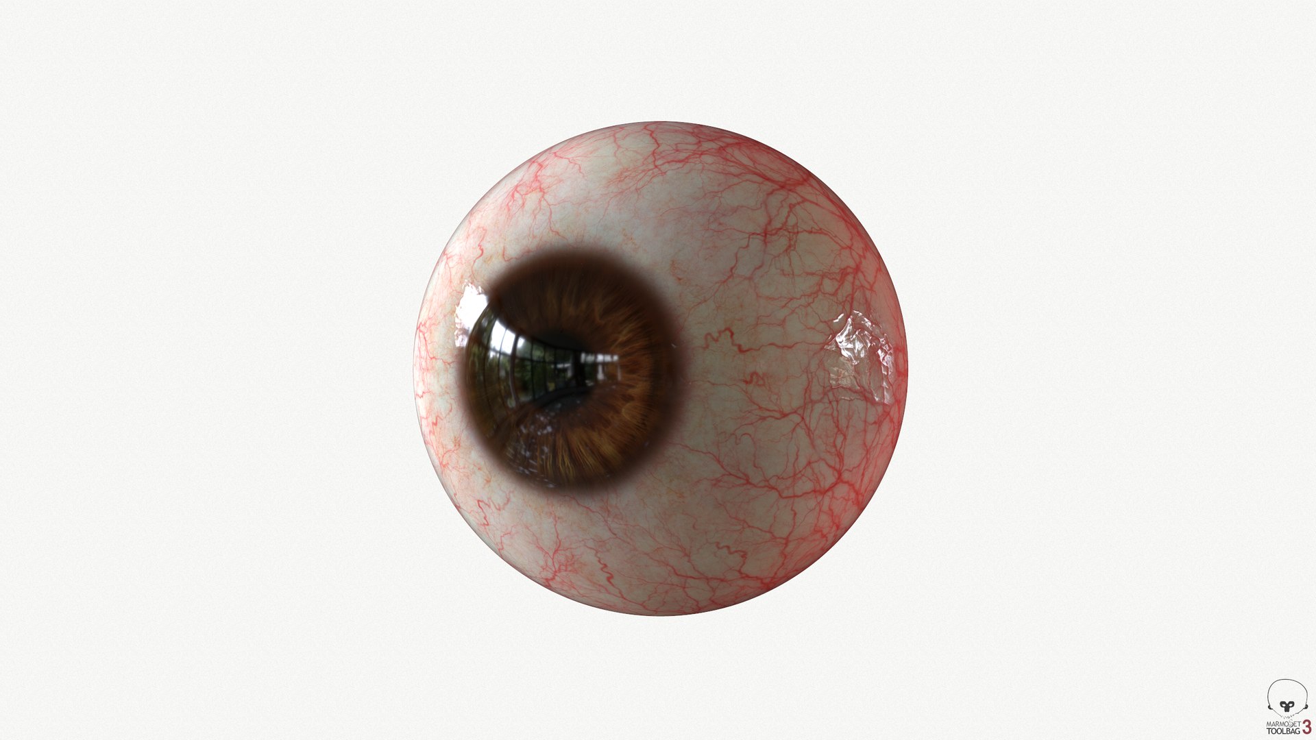 Eye Brown Real-time 4k Texture Marmoset Toolbag3 Maya FBX OBJ 3D ...