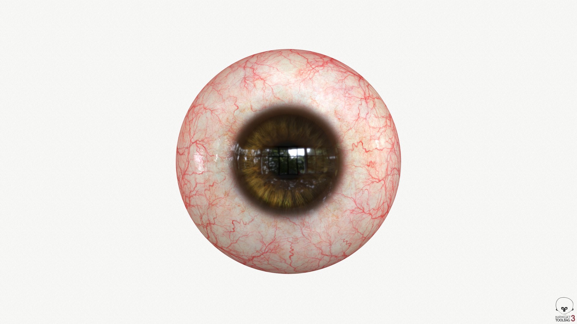 Eye Brown Real-time 4k Texture Marmoset Toolbag3 Maya FBX OBJ 3D ...
