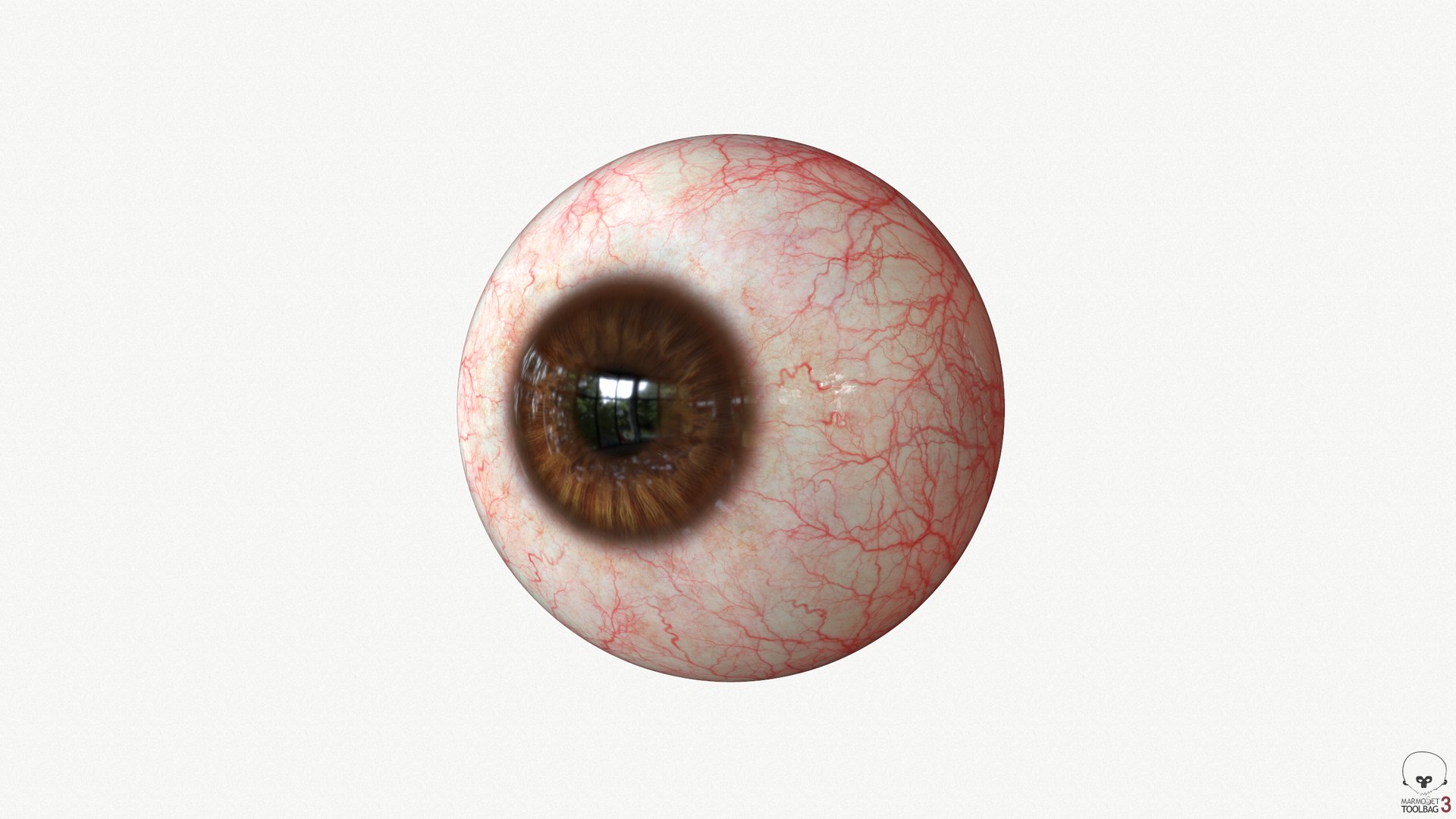 Eye Brown Real-time 4k Texture Marmoset Toolbag3 Maya FBX OBJ 3D ...