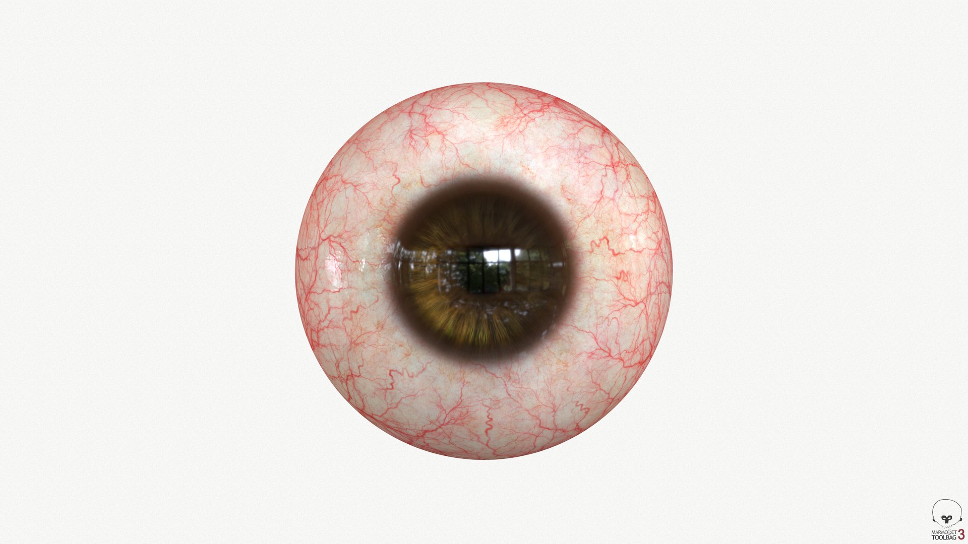 Eye Brown Real-time 4k Texture Marmoset Toolbag3 Maya FBX OBJ 3D ...
