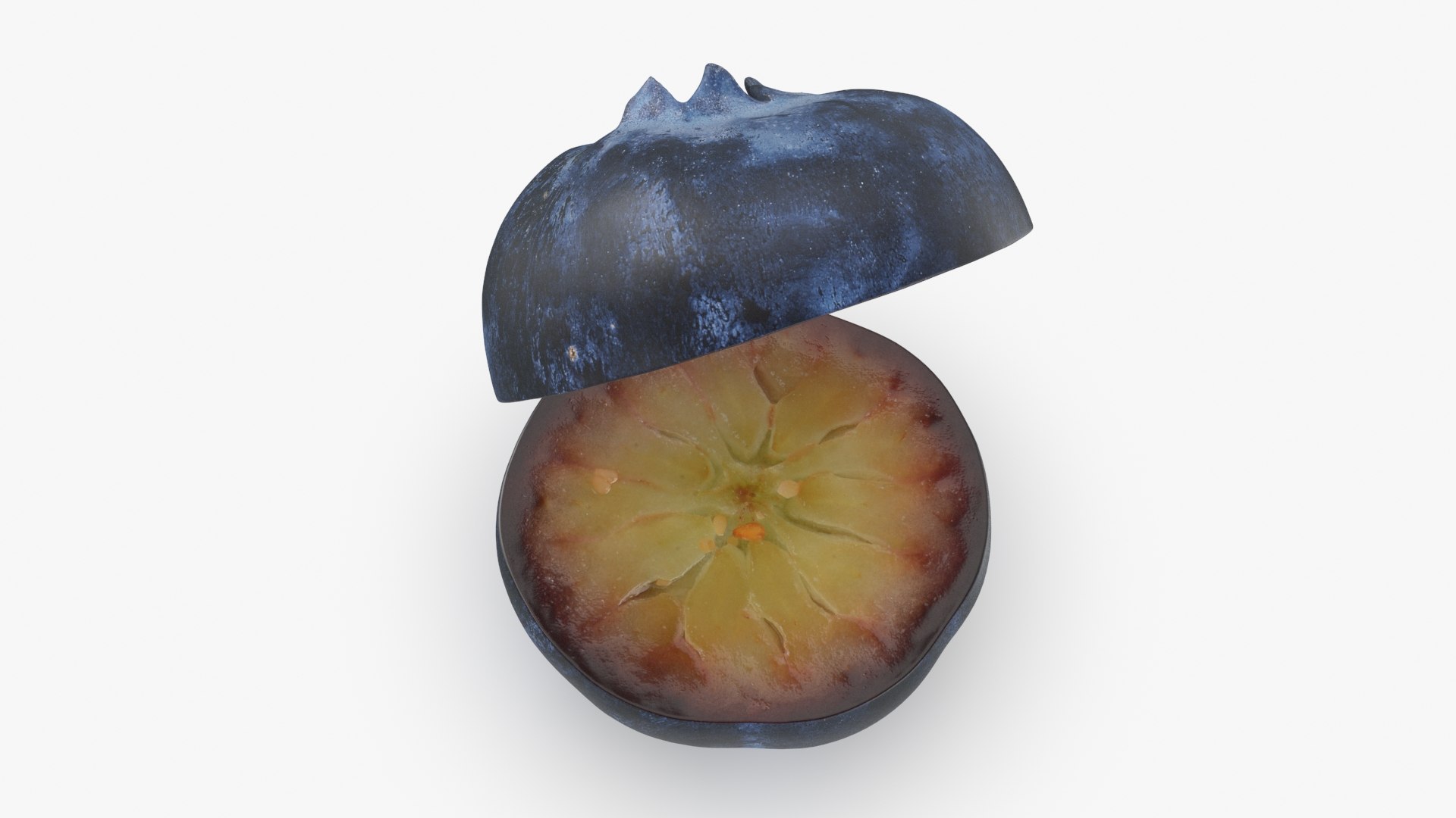 3D Blueberry 02 Cut Half - TurboSquid 2214880