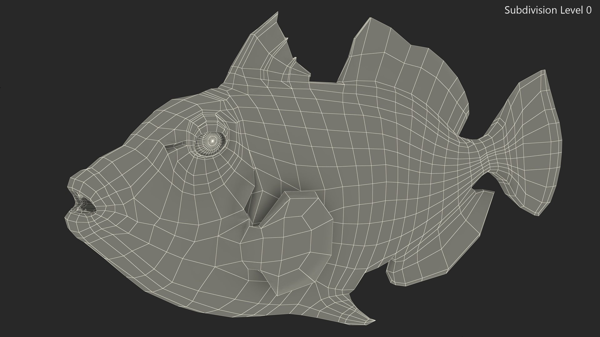 Balistoides Conspicillum Or Bigspotted Triggerfish Rigged For Cinema 4D 3D Model - TurboSquid ...