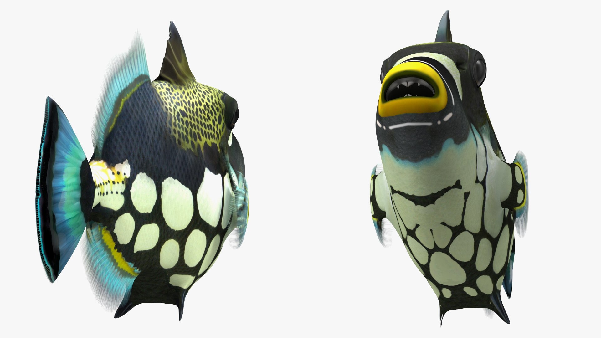 Balistoides Conspicillum Or Bigspotted Triggerfish Rigged For Cinema 4D ...