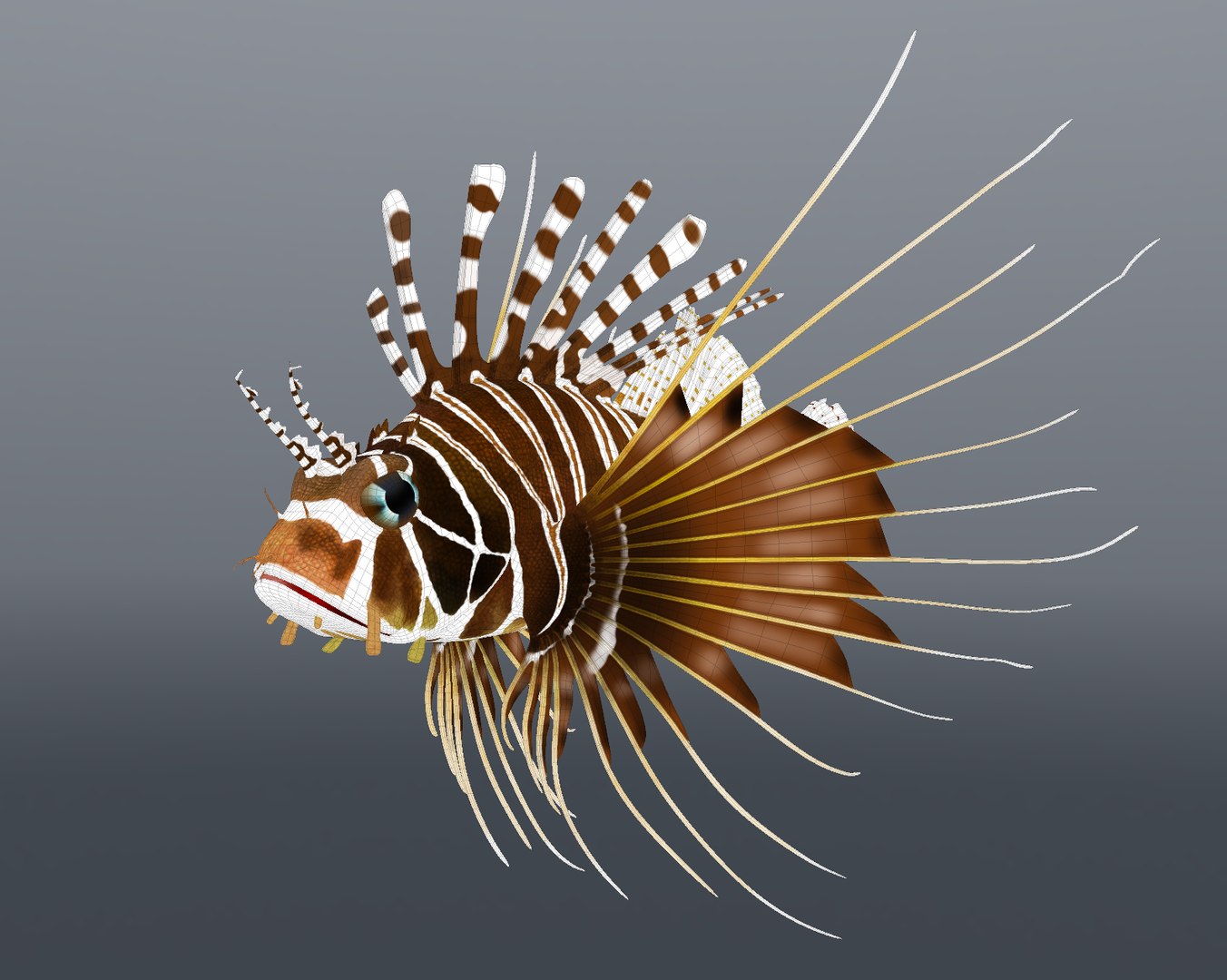 3d lionfish fish model