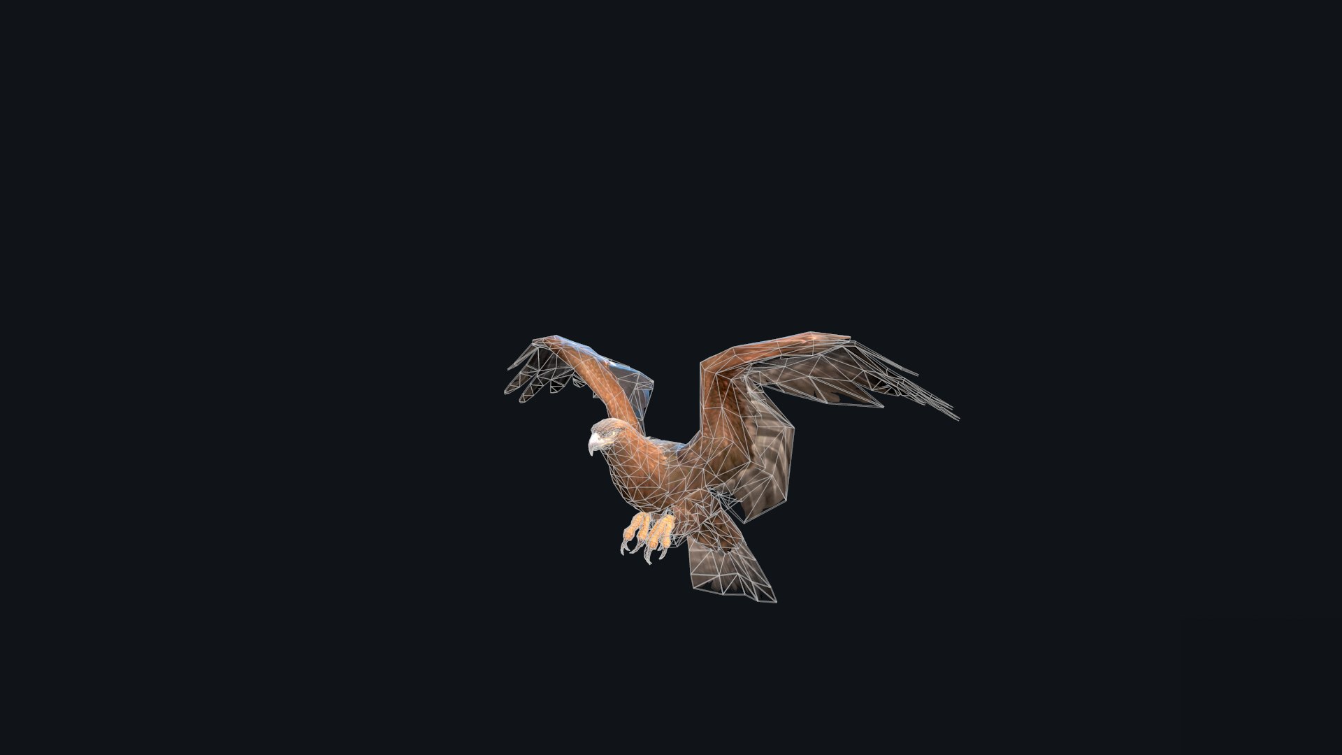 Eagle Animation 3D Model - TurboSquid 2006373