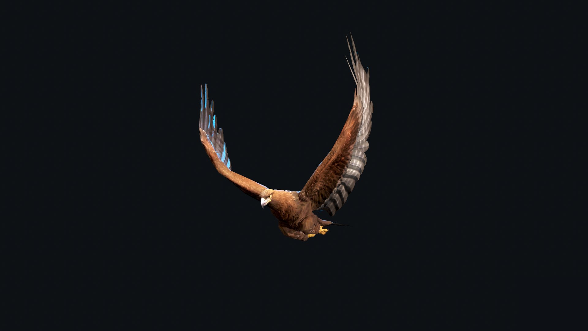 Eagle Animation 3D Model - TurboSquid 2006373