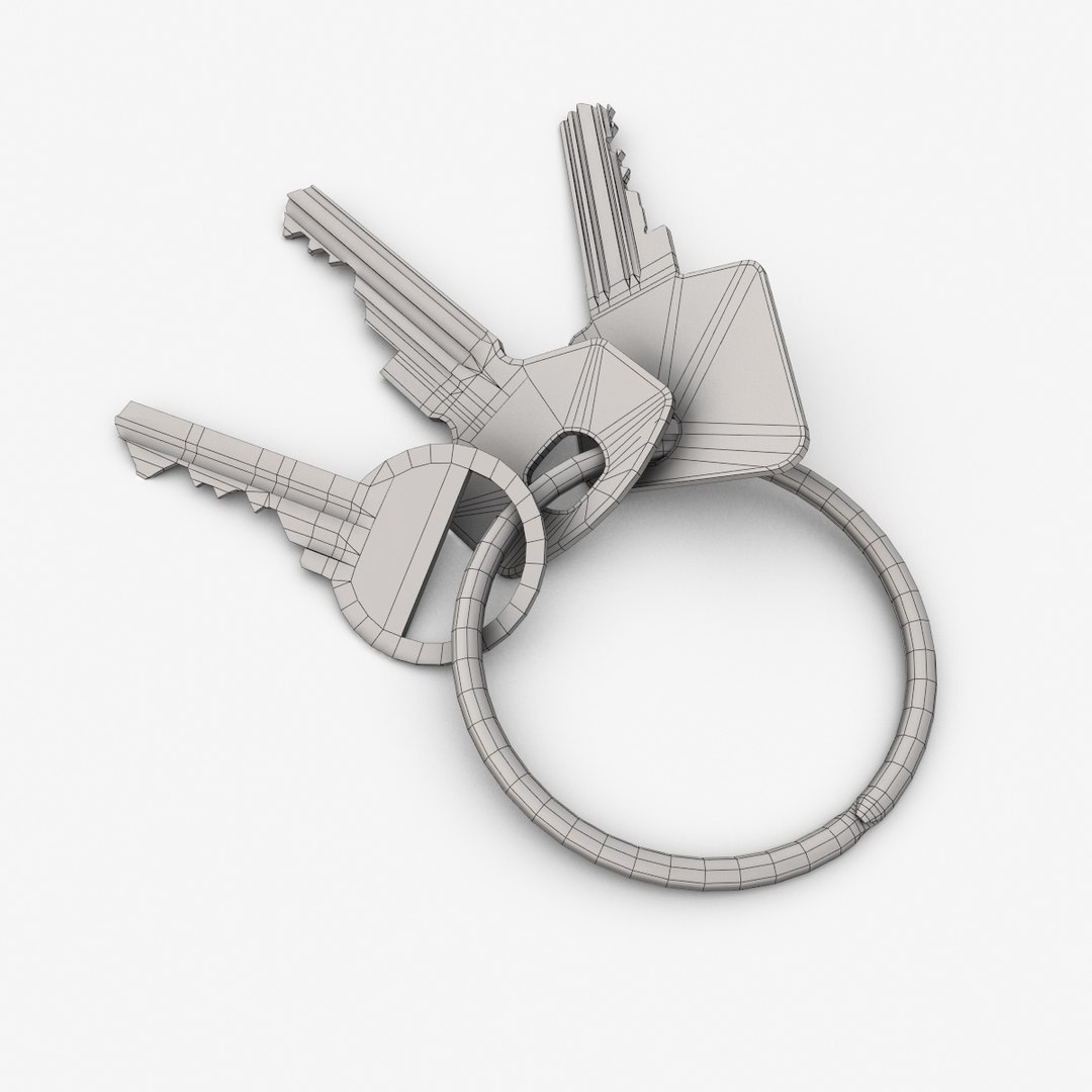 Open Key 3d Model