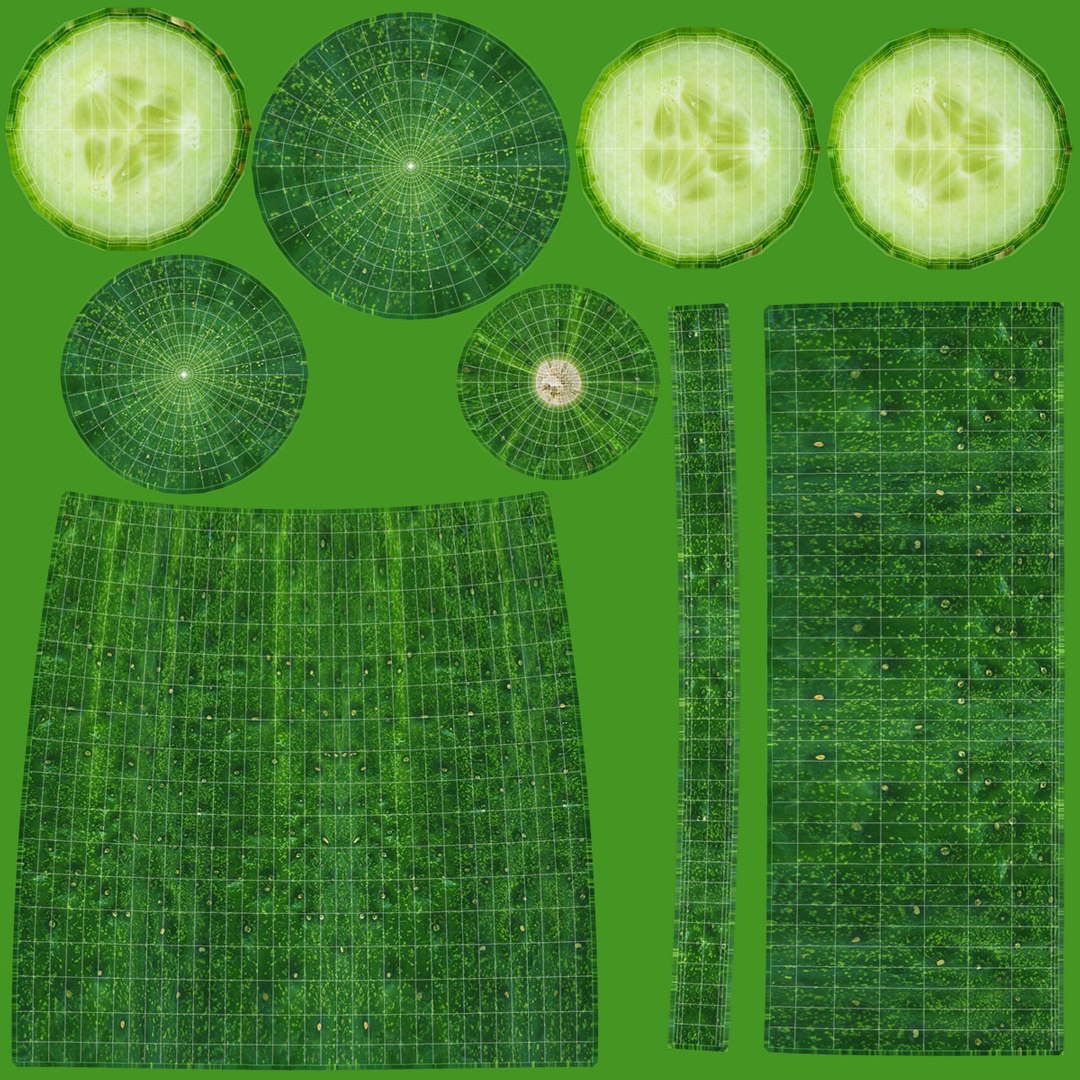 3d realistic cucumber model