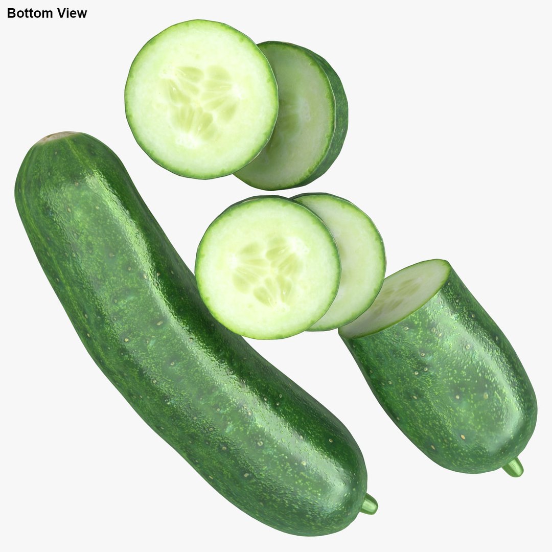3d realistic cucumber model