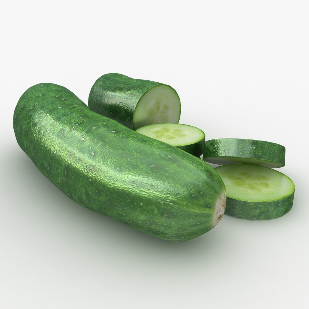 3d realistic cucumber model