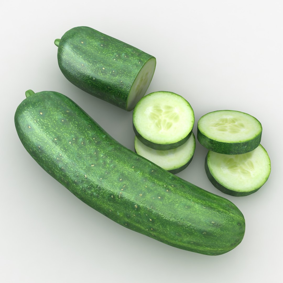 3d realistic cucumber model
