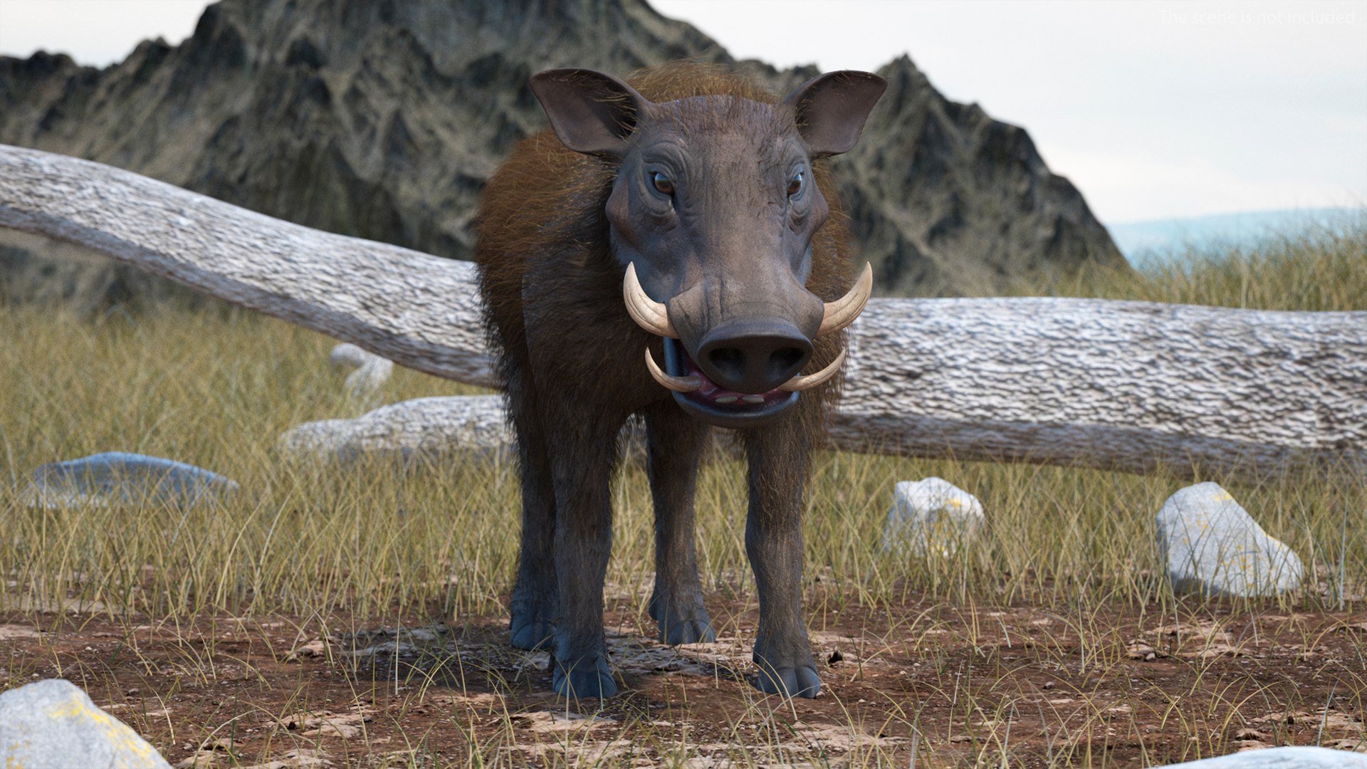 Southern Warthog Base Pose Fur 3D - TurboSquid 2214640