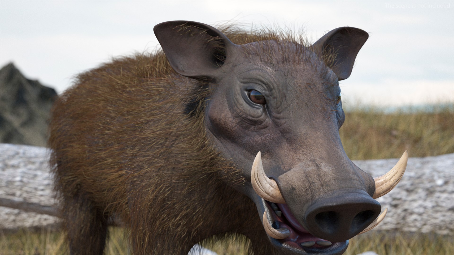 Southern Warthog Base Pose Fur 3D - TurboSquid 2214640