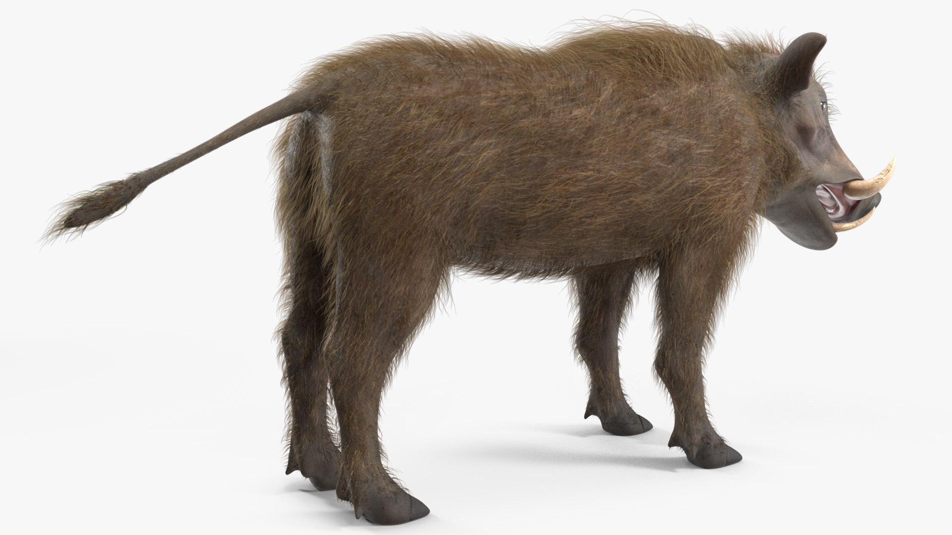Southern Warthog Base Pose Fur 3D - TurboSquid 2214640