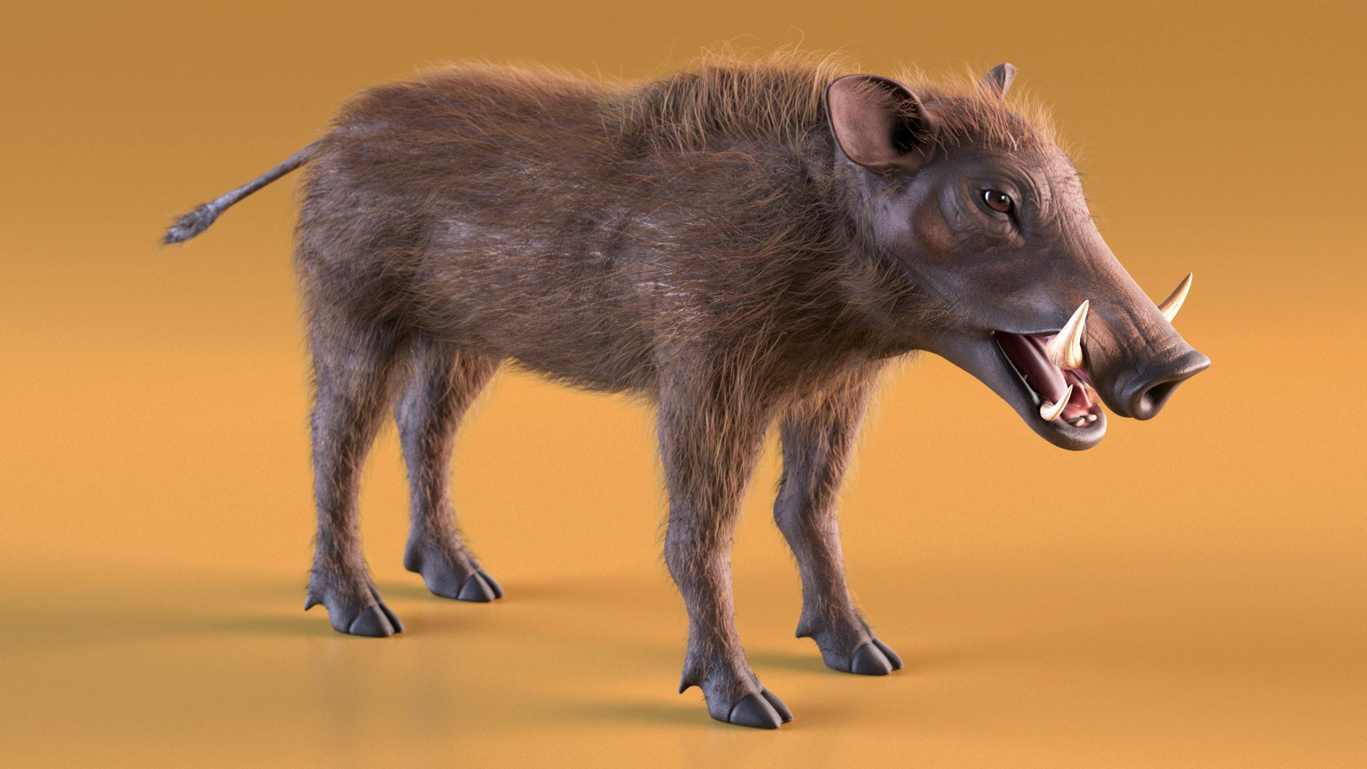 Southern Warthog Base Pose Fur 3D - TurboSquid 2214640