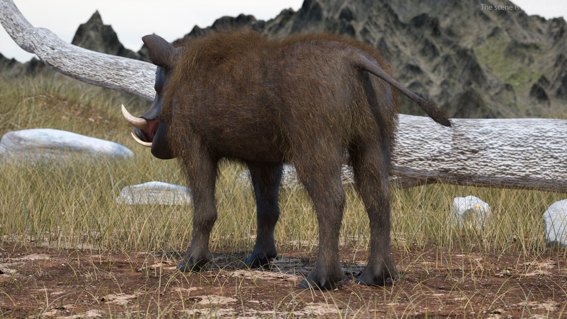 Southern Warthog Base Pose Fur 3D - TurboSquid 2214640