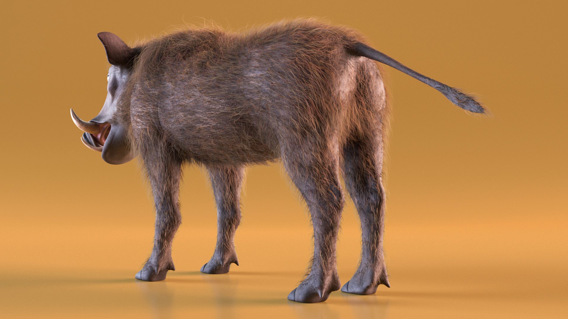 Southern Warthog Base Pose Fur 3D - TurboSquid 2214640