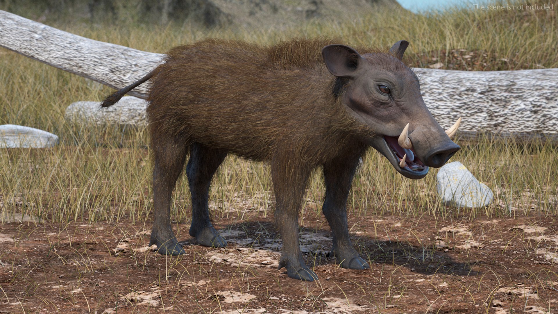 Southern Warthog Base Pose Fur 3D - TurboSquid 2214640