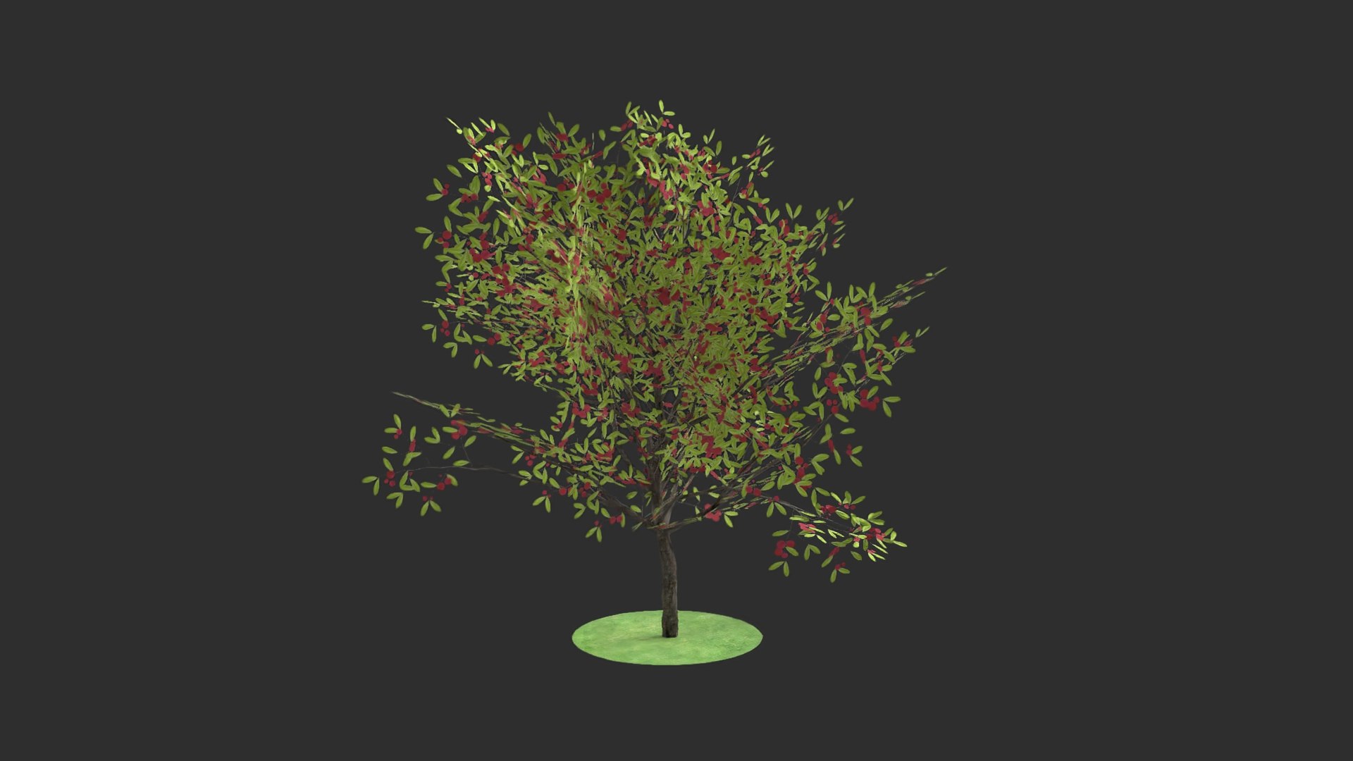 Cherry laurel fruity 3D model - TurboSquid 1618898