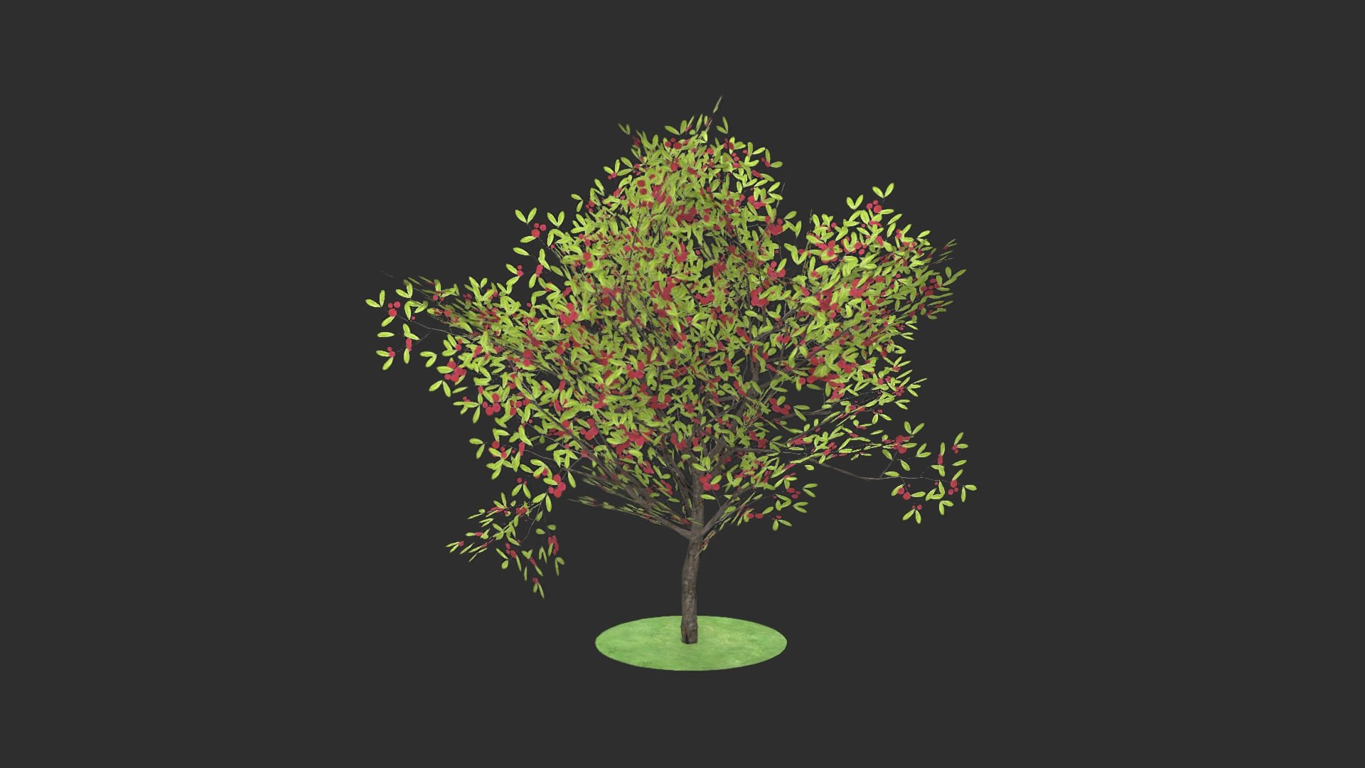 Cherry laurel fruity 3D model - TurboSquid 1618898