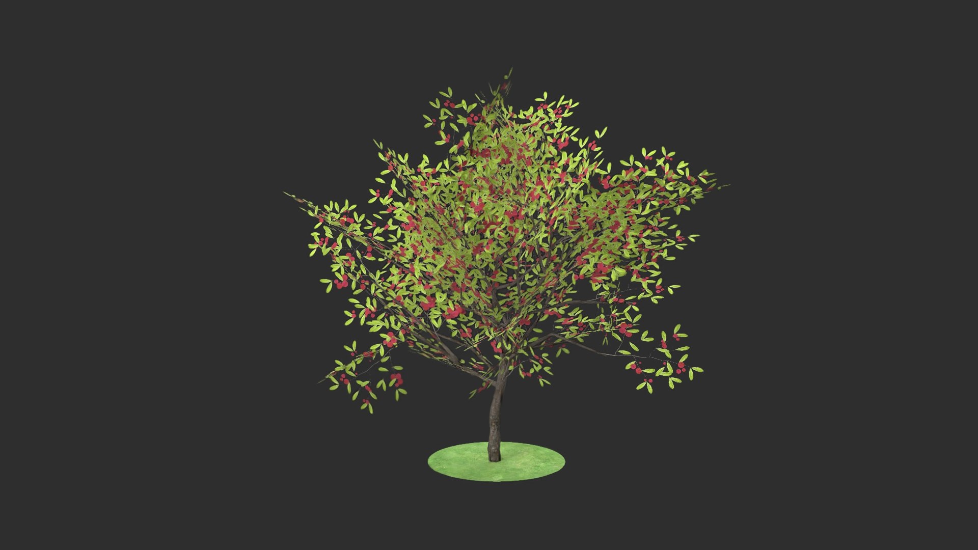 Cherry laurel fruity 3D model - TurboSquid 1618898