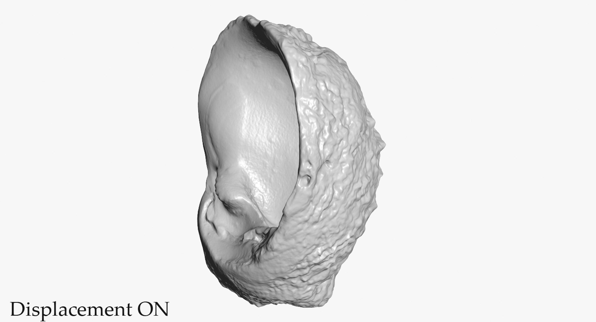 3ds Max Sea Shell Ostrea 4