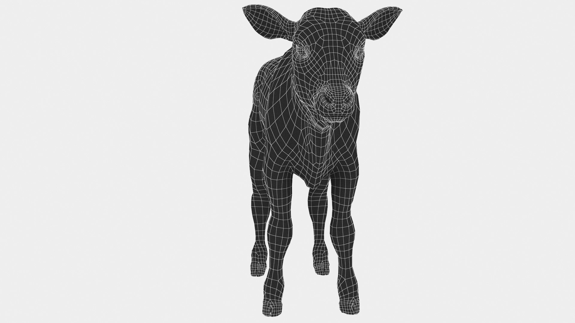Calf Model - TurboSquid 1805153