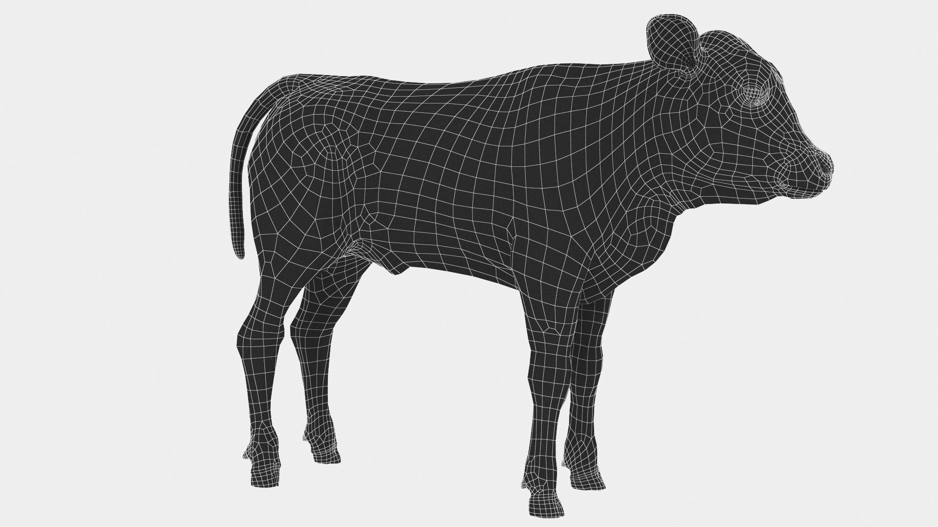 Calf Model - TurboSquid 1805153