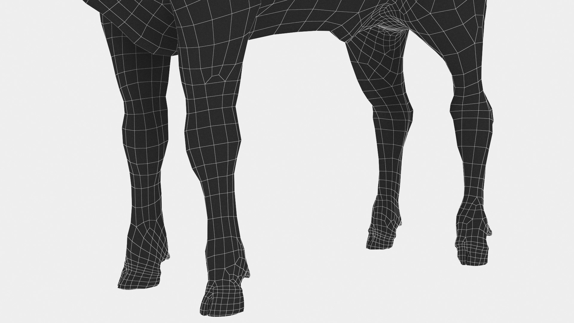 Calf Model - TurboSquid 1805153