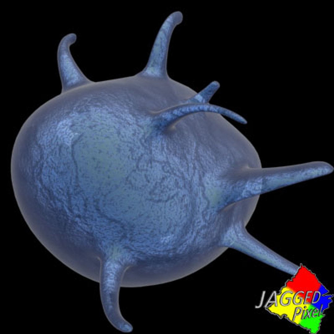 Protist 1 3d Model