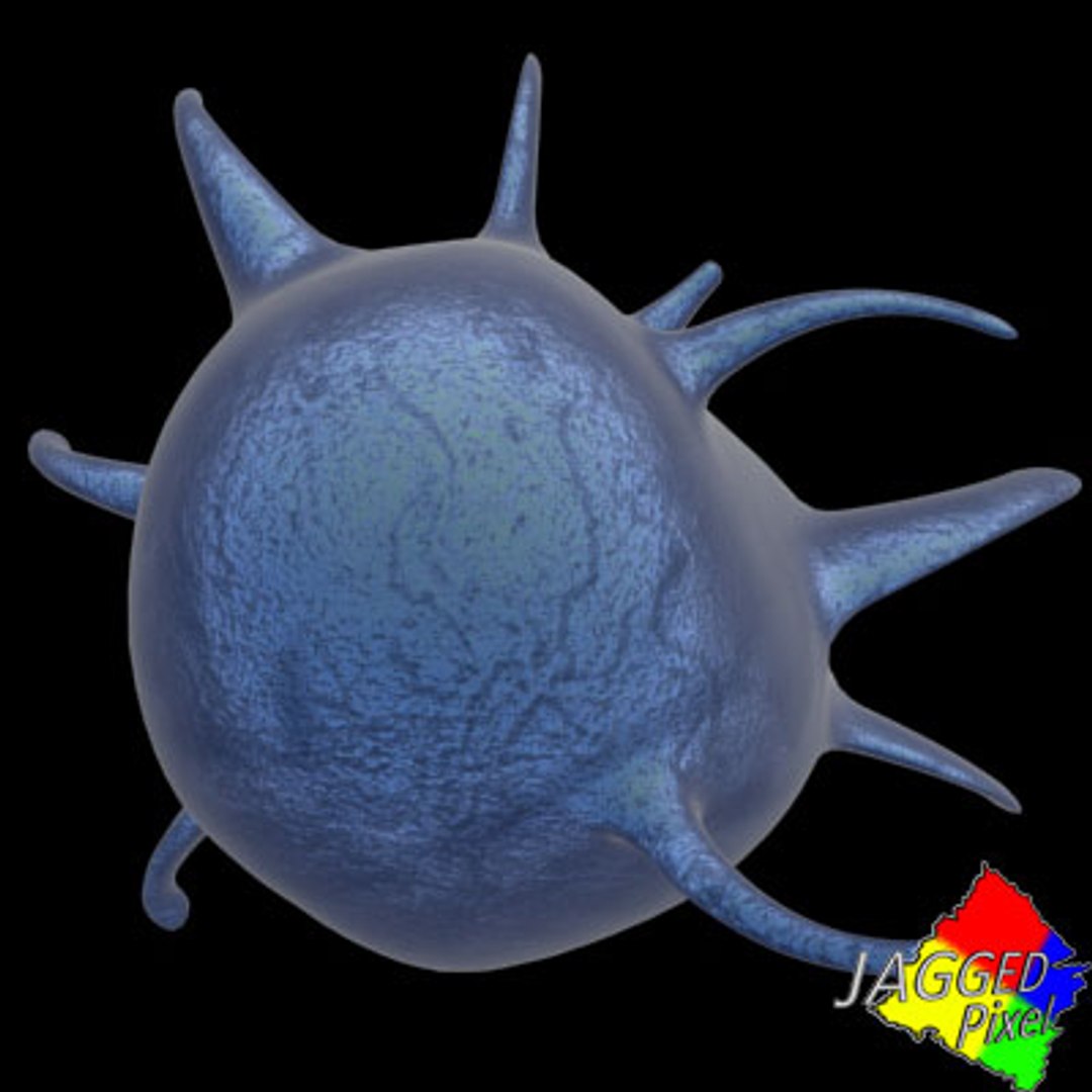 Protist 1 3d Model
