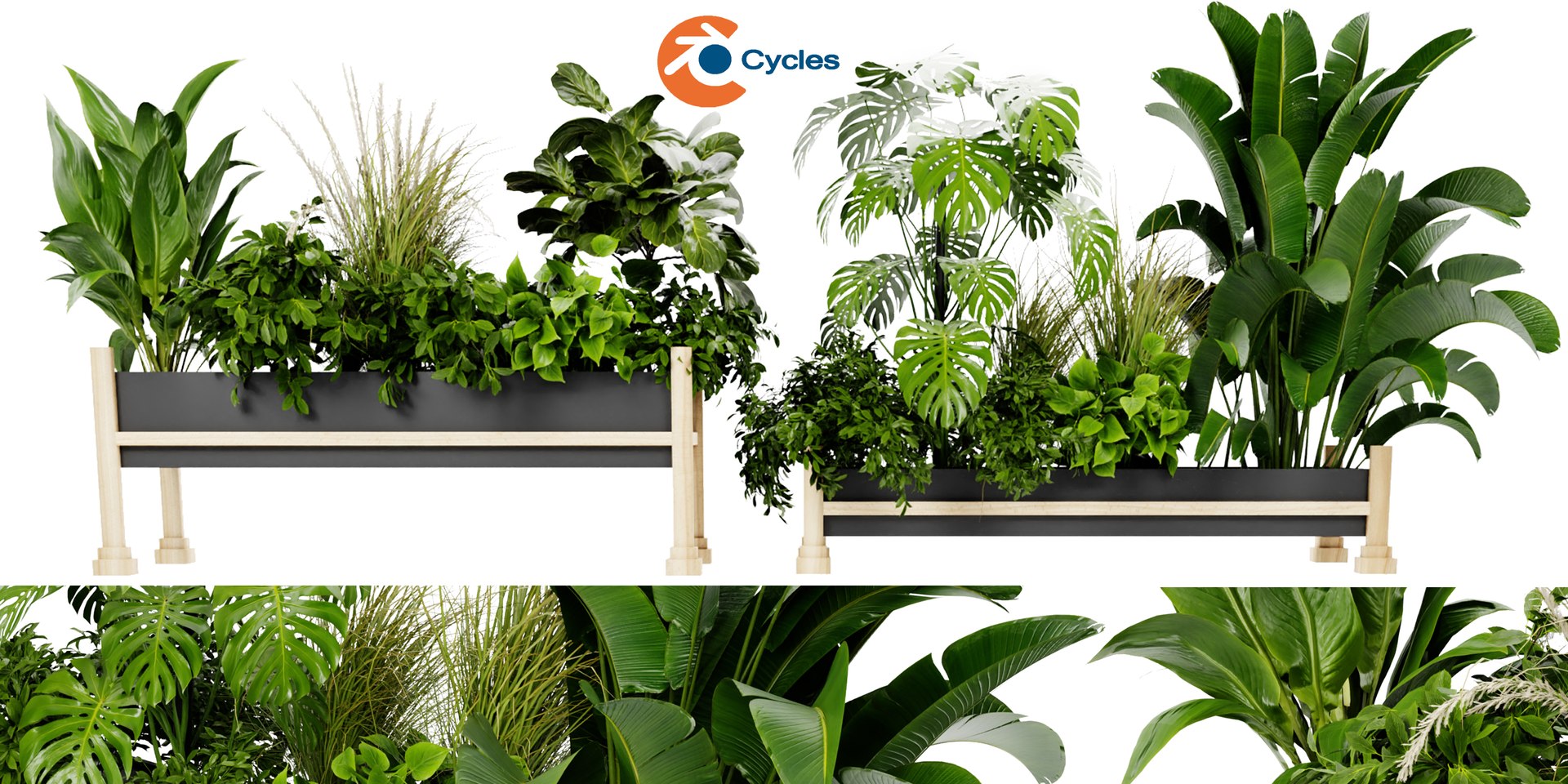 Collection plant vol 420 - blender model 3D model - TurboSquid 2097112