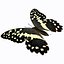 3d Citrus Swallowtail Butterfly