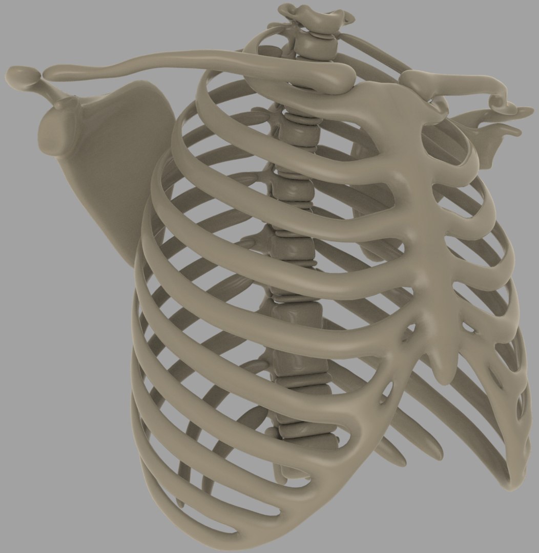 Diagram Chest 3d Obj