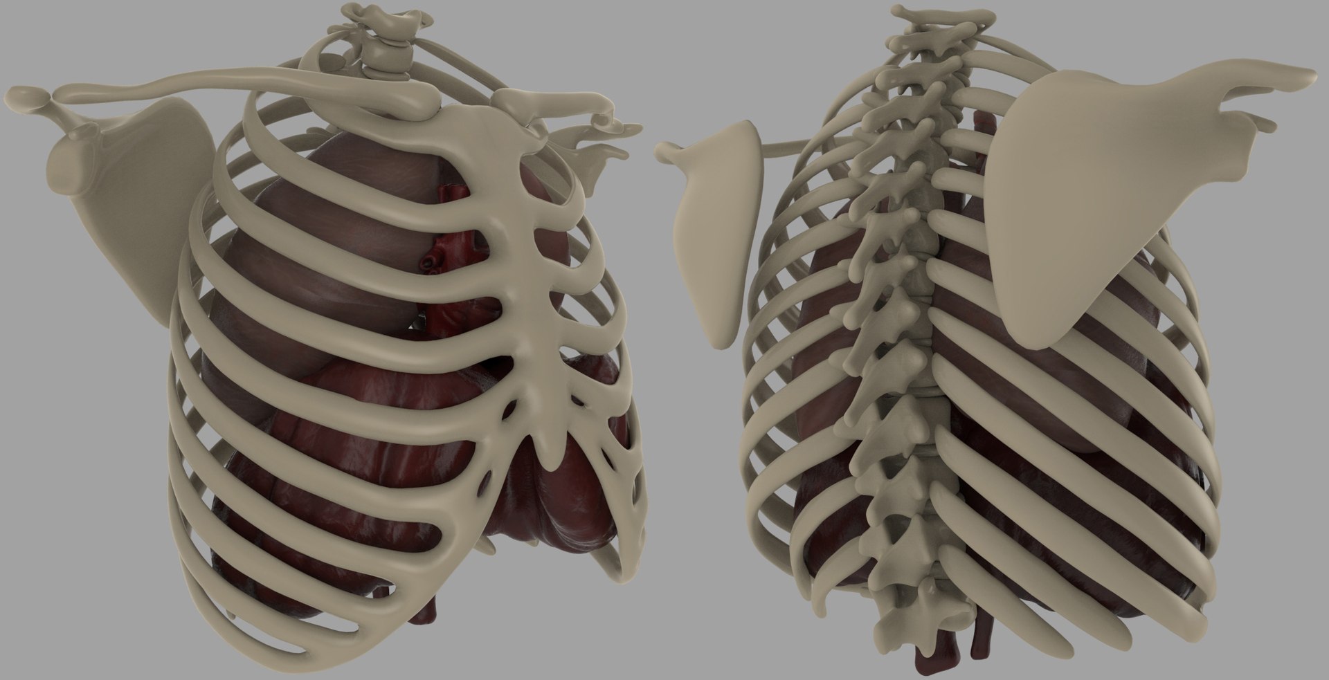 Diagram Chest 3d Obj