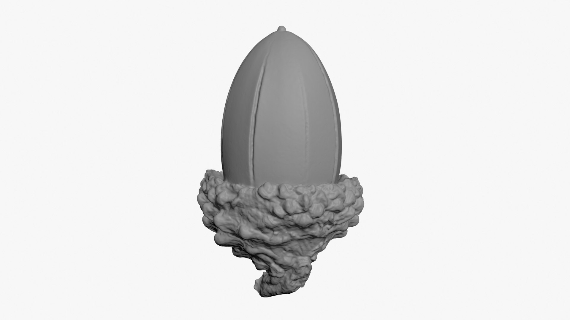 3D Acorn 02 3D Print Model - TurboSquid 2283043