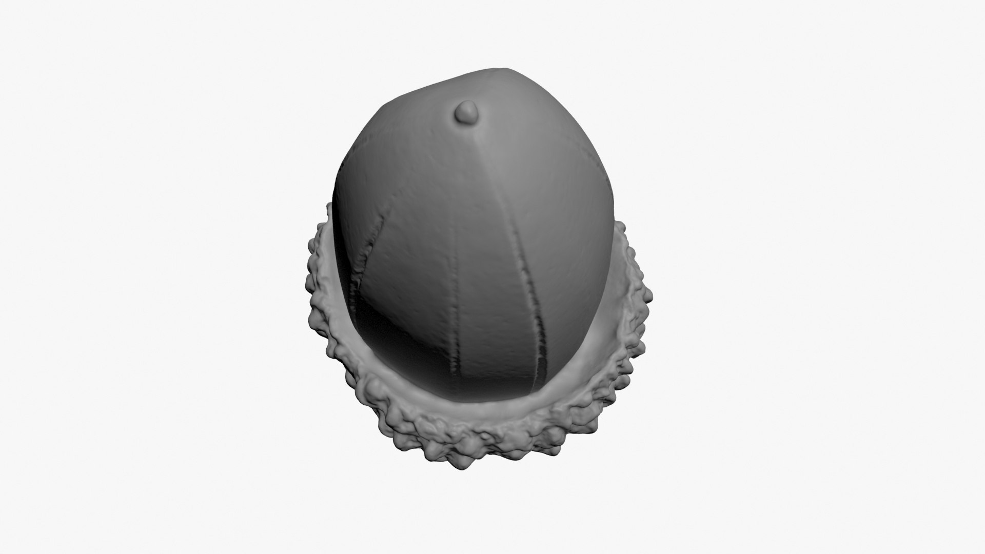 3D Acorn 02 3D Print Model - TurboSquid 2283043
