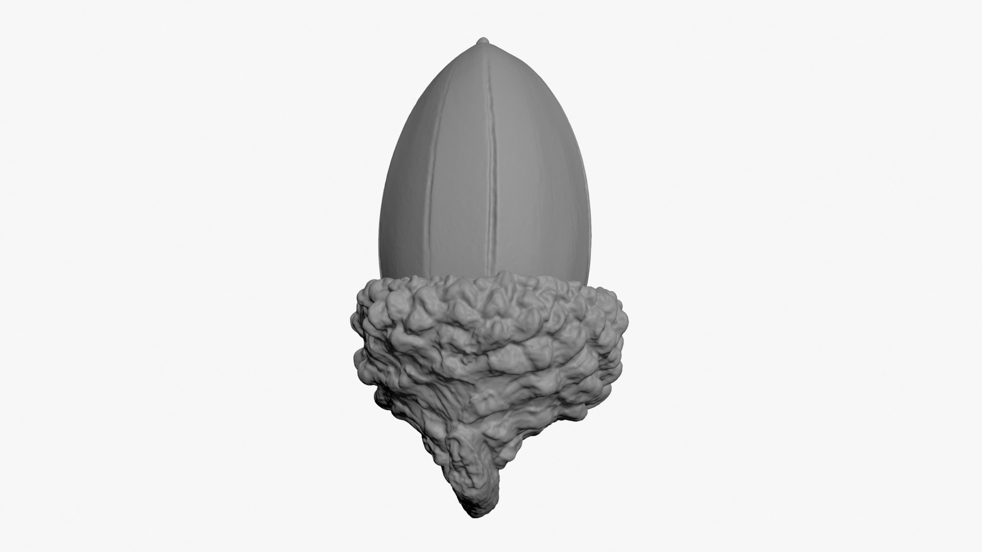 3D Acorn 02 3D Print Model - TurboSquid 2283043