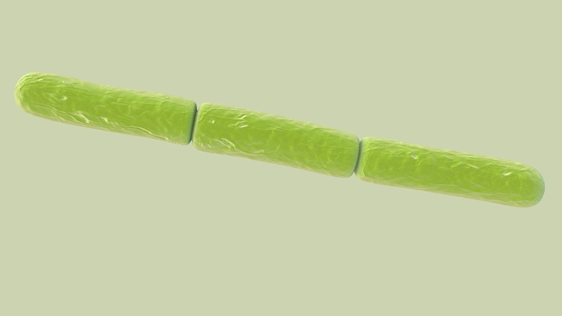 3D Model Streptobacillus - TurboSquid 2074841