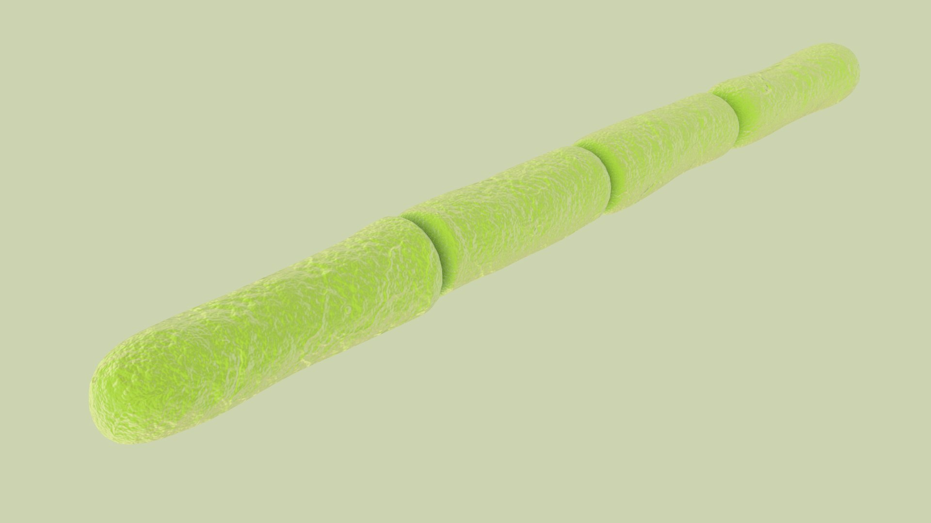 3D Model Streptobacillus - TurboSquid 2074841