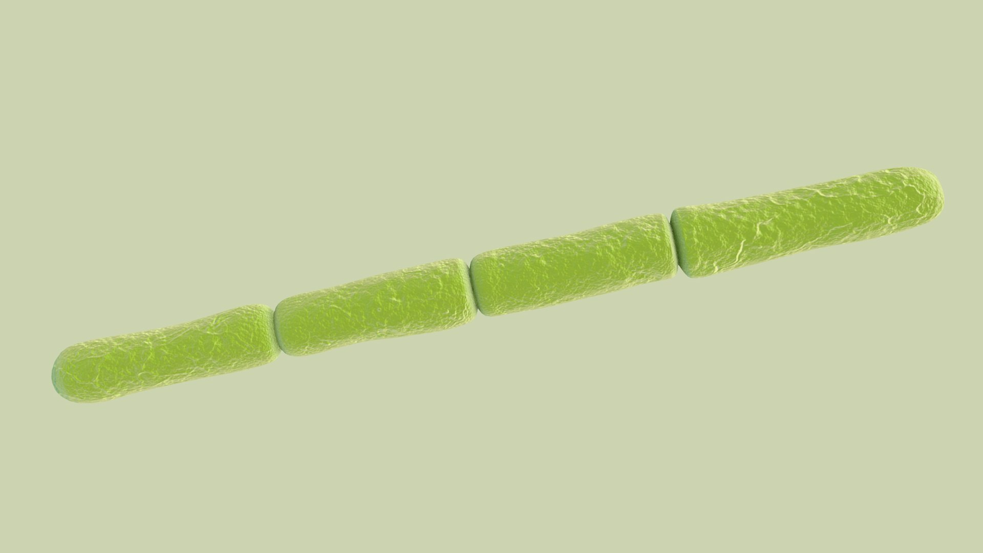 3D Model Streptobacillus - TurboSquid 2074841
