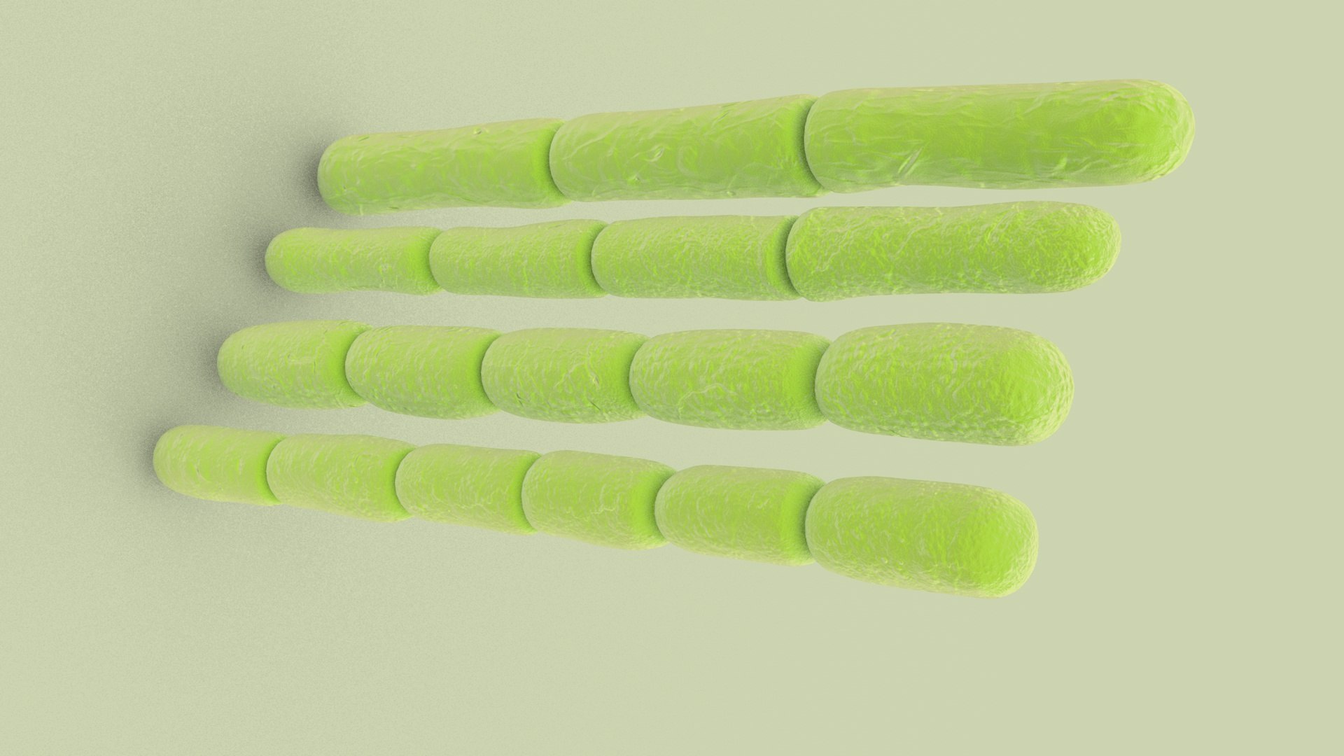 3D Model Streptobacillus - TurboSquid 2074841