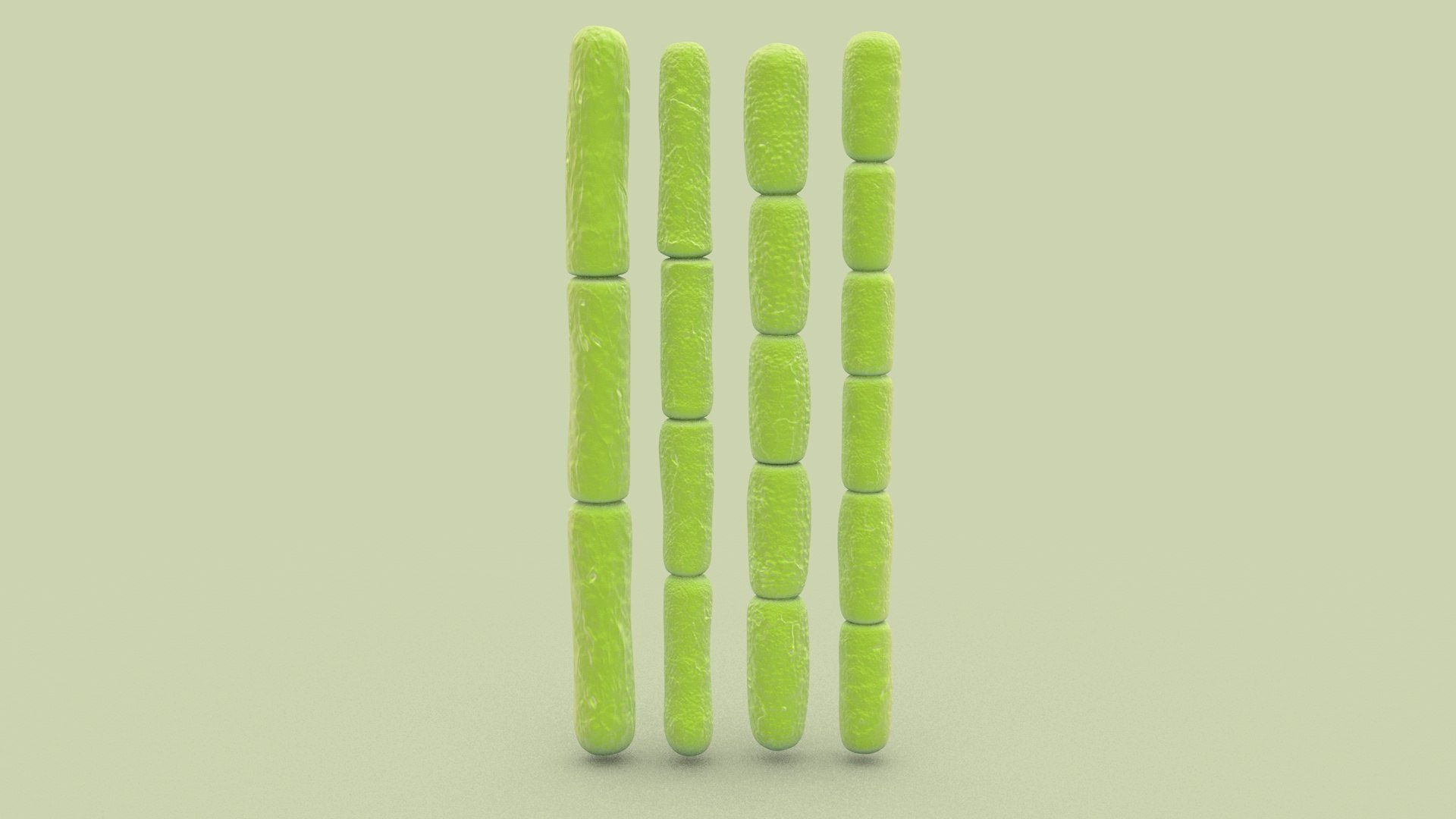 3D Model Streptobacillus - TurboSquid 2074841