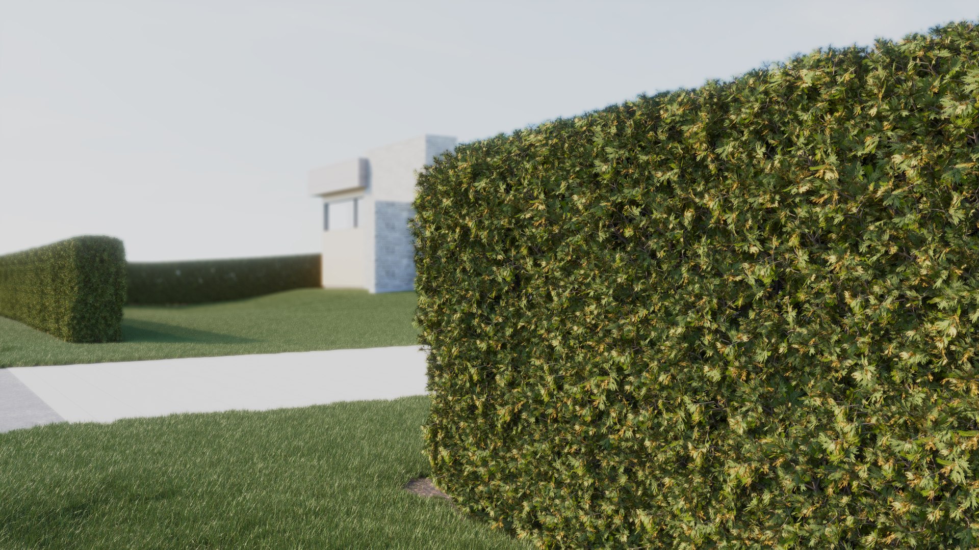 3D Procedural Cedar Hedges - Haies Cedre Programmable Model ...