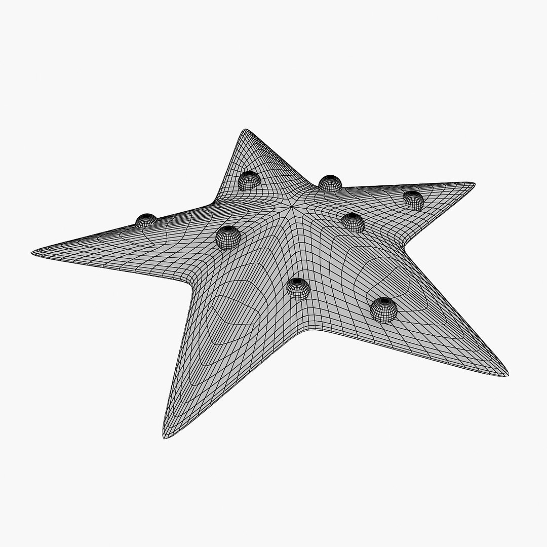 Starfish model - TurboSquid 1515703