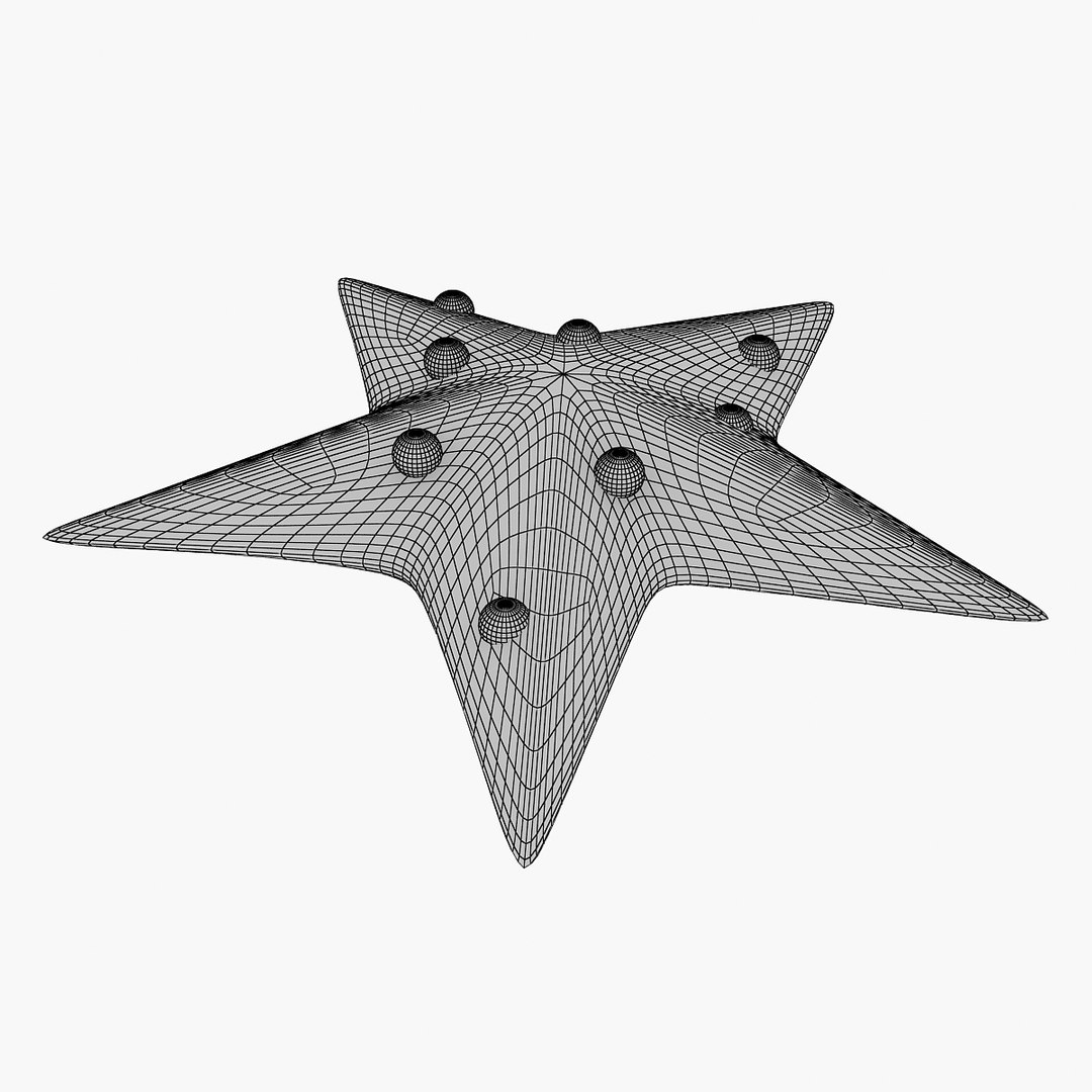 Starfish model - TurboSquid 1515703