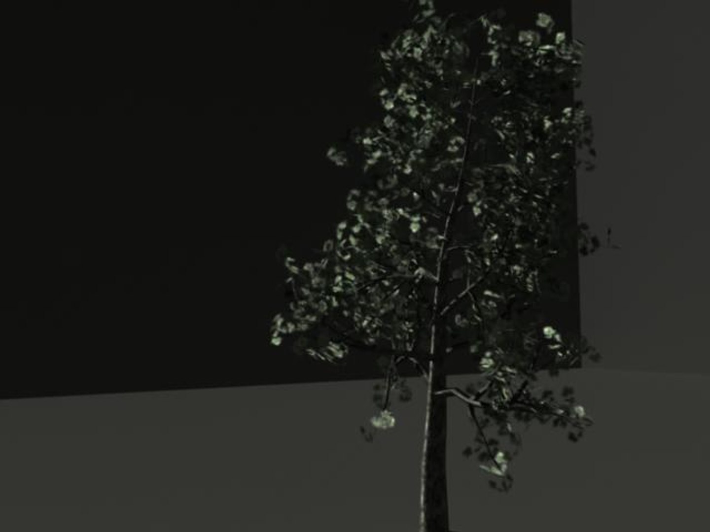 Tree 3d Fbx