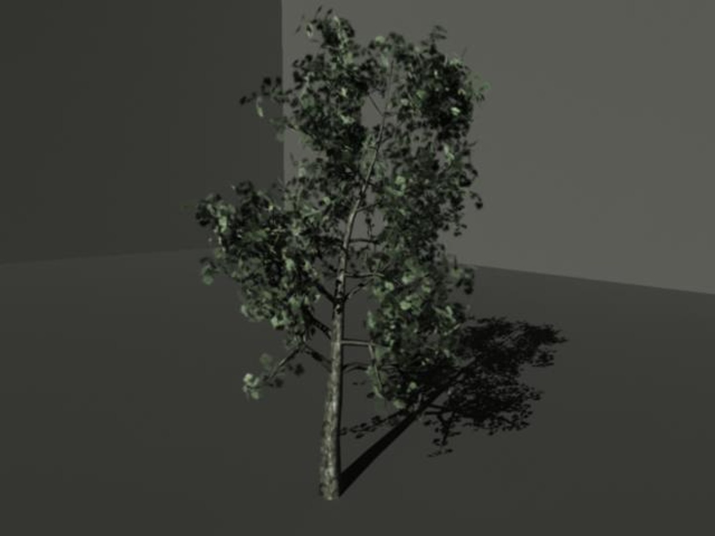 Tree 3d Fbx